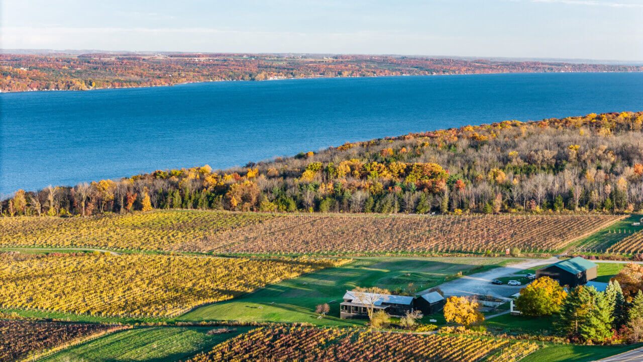Vineyards - Standing Stone Vineyards